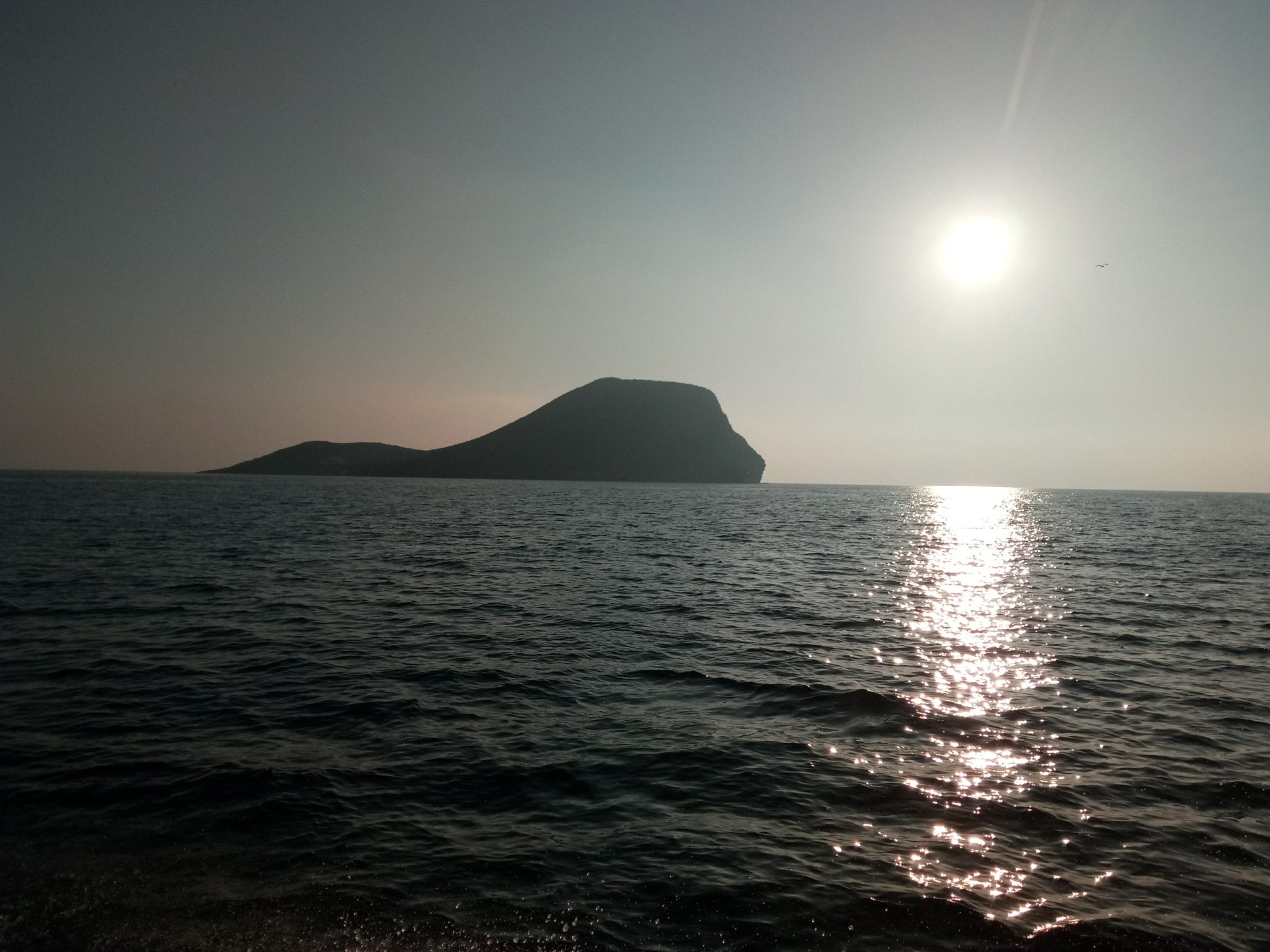 Isla Grosa, el Farallón y la Laja – Turismo Marinero Murcia